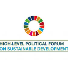 Future of the HLPF: Lessons from the proposal for a Sustainable Development Council for the UN ...