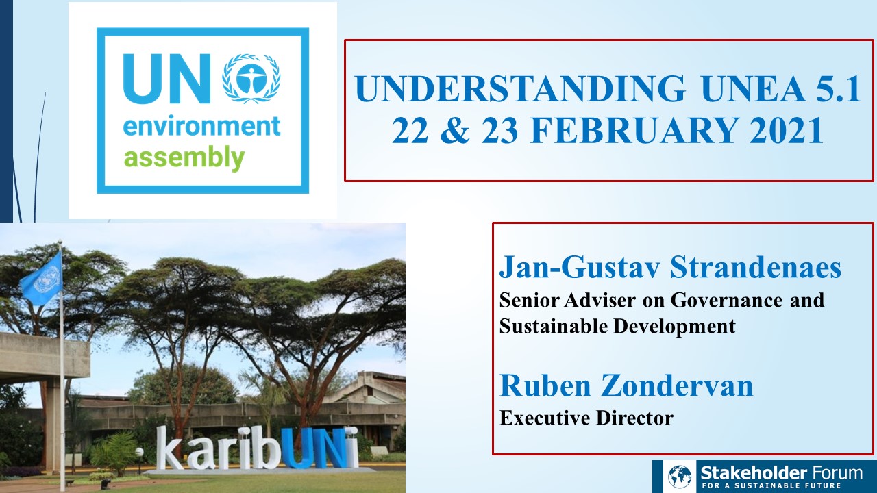 Understanding UNEA 5.1: A Special Webinar for Major Groups and Other ...