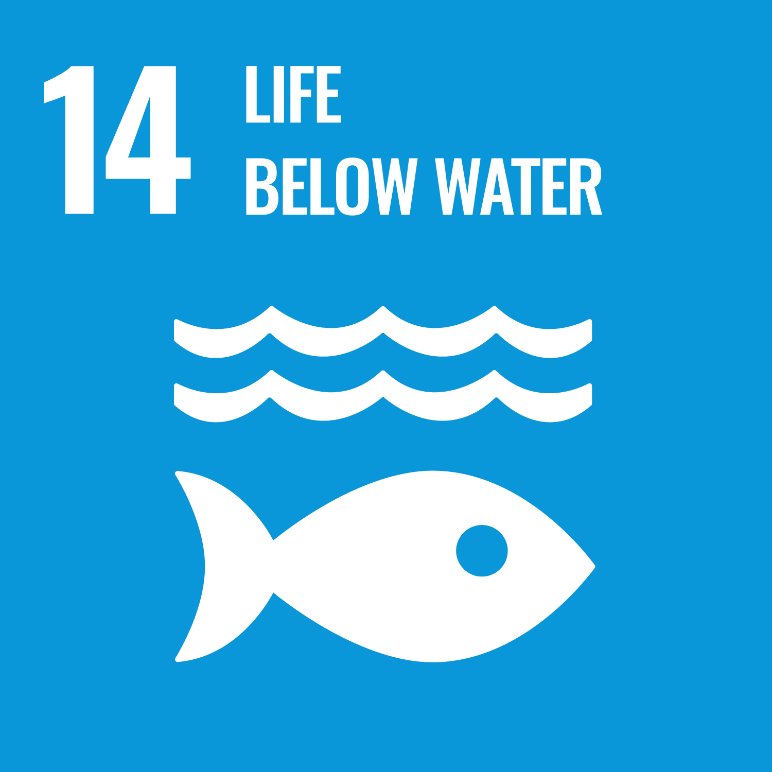 SDG 14: Conserve and Sustainably Use the Oceans, Seas and Marine Resources for Sustainable ...