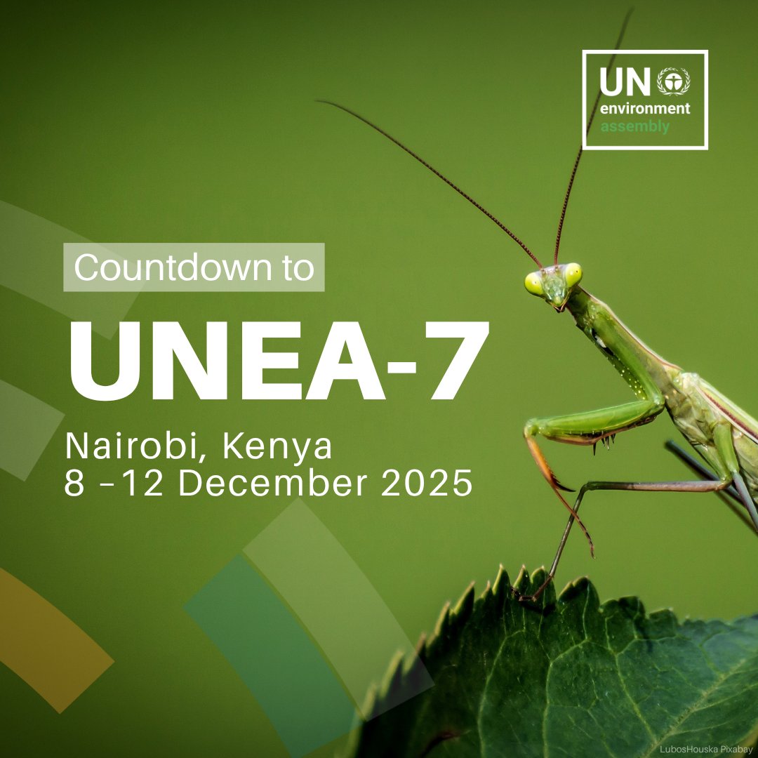 Enhance Civil Society and Other Stakeholder Engagement at UNEA-7 and in the 2027 Review of the ...
